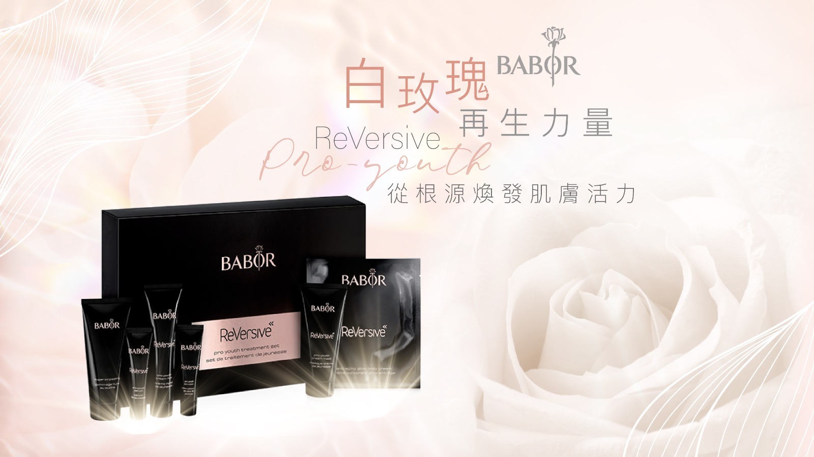 白玫瑰再生基因療程 | 嫩膚療程逆轉肌齡 - AMOUR